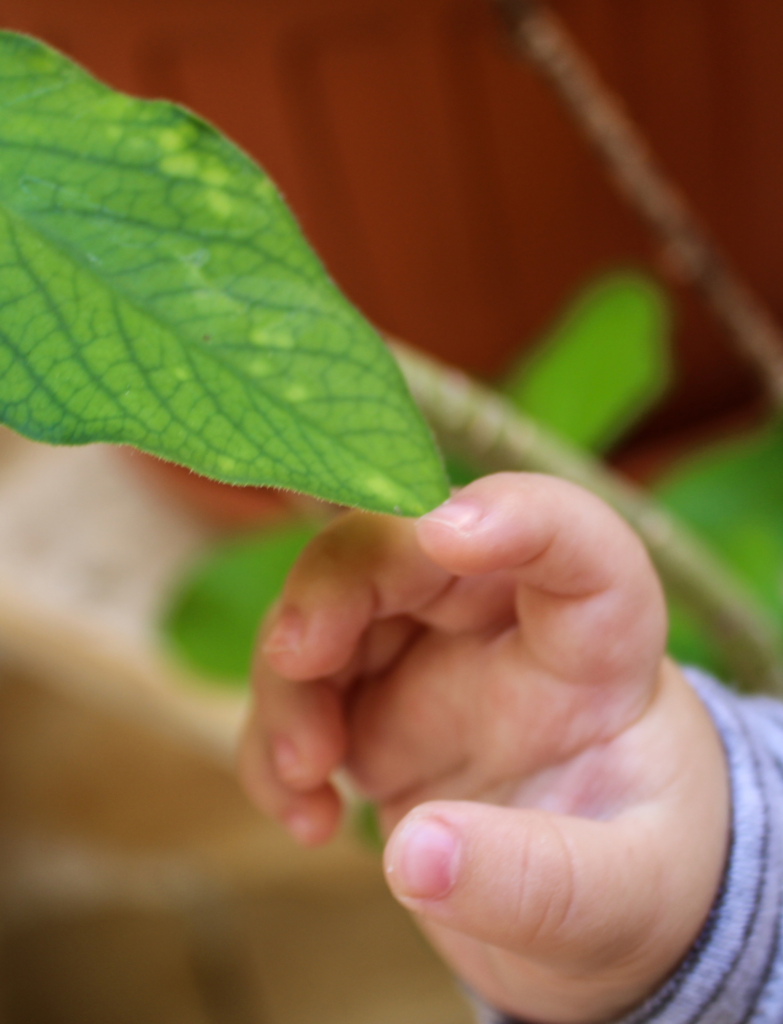 How Kids Learn to Remember | Real Kids Real Faith